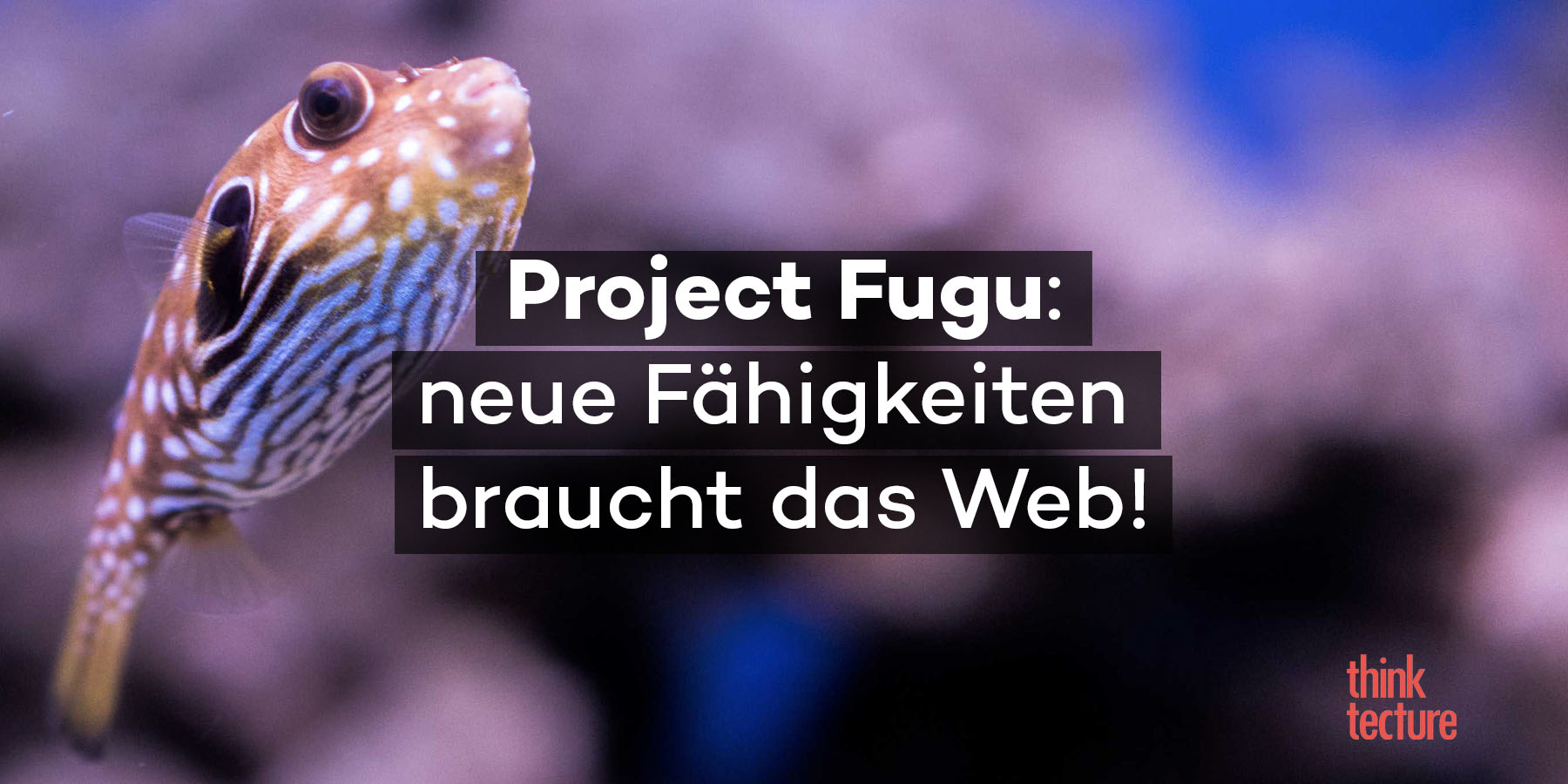 Project Fugu – neue Fähigkeiten braucht das Web - Thinktecture AG